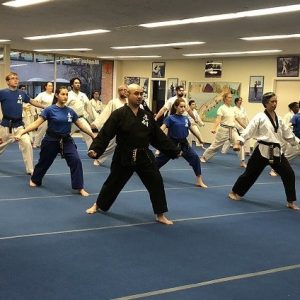 Master S.H. Yu Martial Arts Oak Park River Forest | Karate | Tae Kwon Do