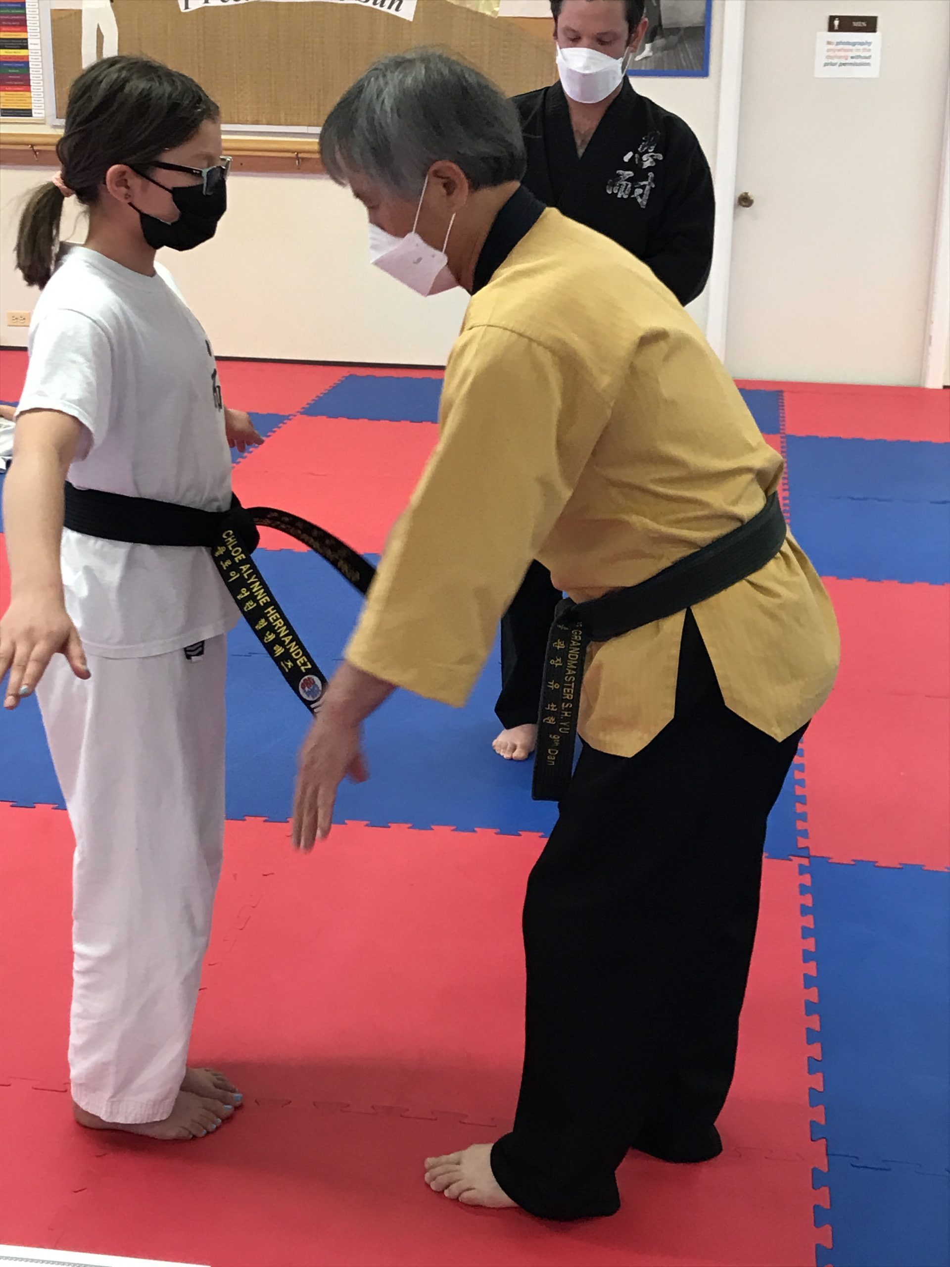 What Do the Colors of Traditional Martial Arts Belts Mean?