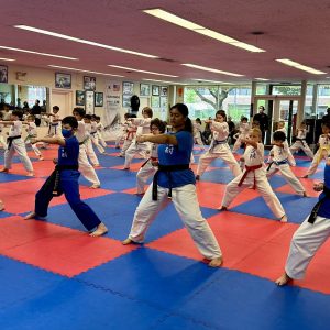Master S.H. Yu Martial Arts Oak Park River Forest | Karate | Tae Kwon Do